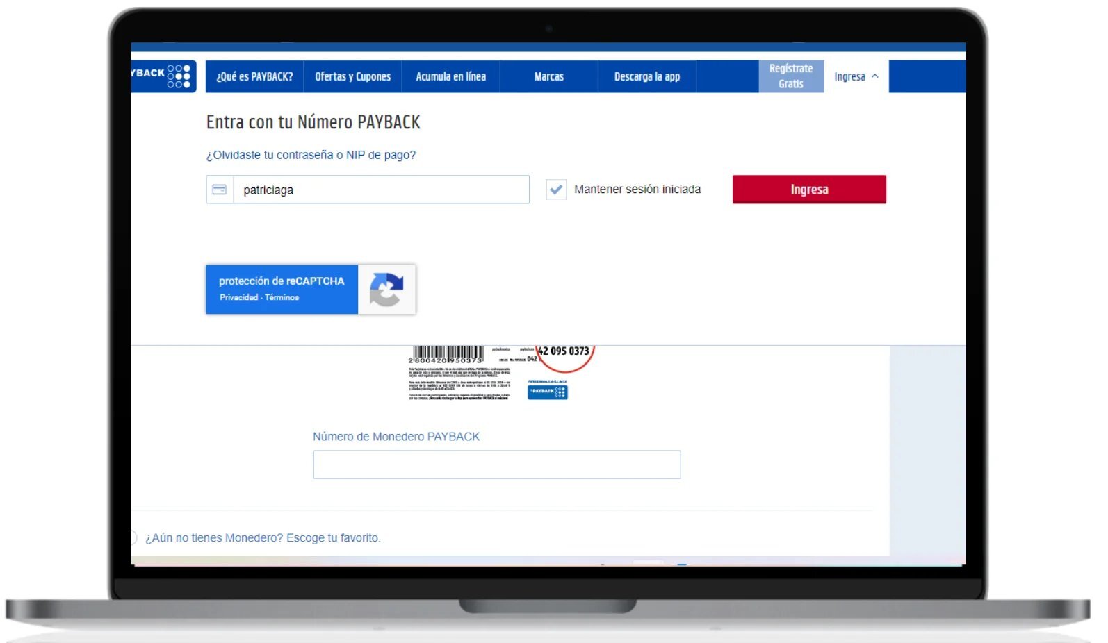 Tarjeta PAYBACK BP【2020】 Cómo sumar MÁS Puntos - Blog Finanazas Ya